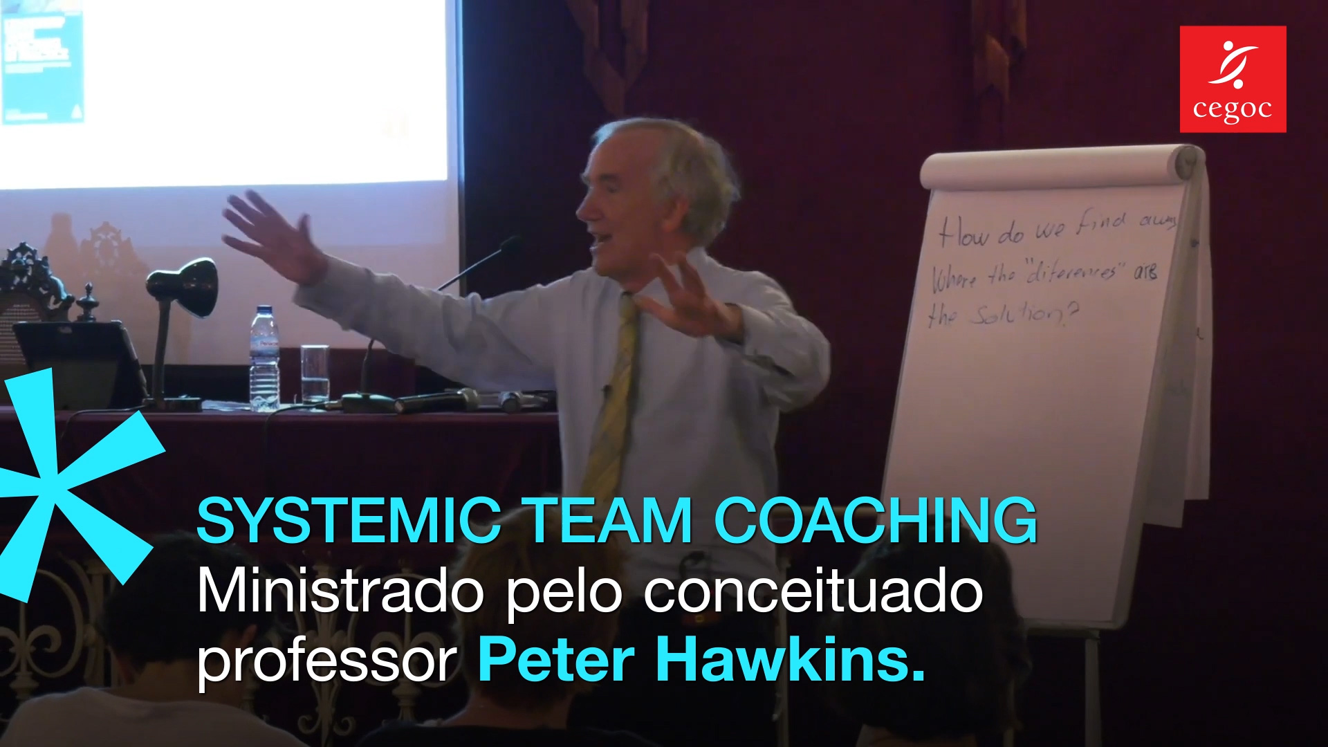 Systemic Team Coaching